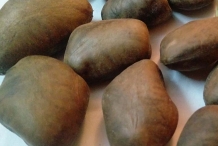 Ashoka Tree Facts and Health Benefits