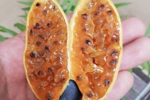 Banana Passionfruit facts and health benefits