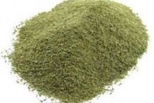 Coral Jasmine facts and health benefits