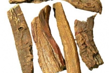 Himalayan Rhubarb facts and health benefits