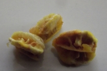 Jamaica cherry facts and health benefits