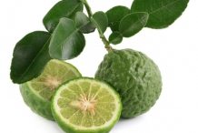 Kaffir Lime facts and health benefits