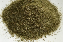 Lemon myrtle facts and health benefits