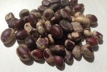 Stinking Toe Fruit facts and health benefits