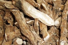 Sweet Flag facts and health benefits