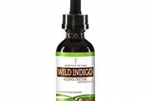 Wild Indigo facts and health benefits