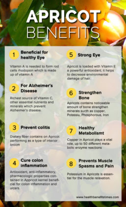 Apricot facts and health benefits - Health Benefits