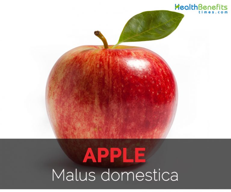 Health benefits of Apples - Health Benefits