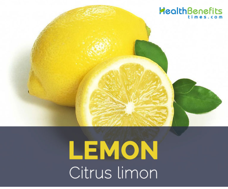 Lemon facts and health benefits - Health Benefits