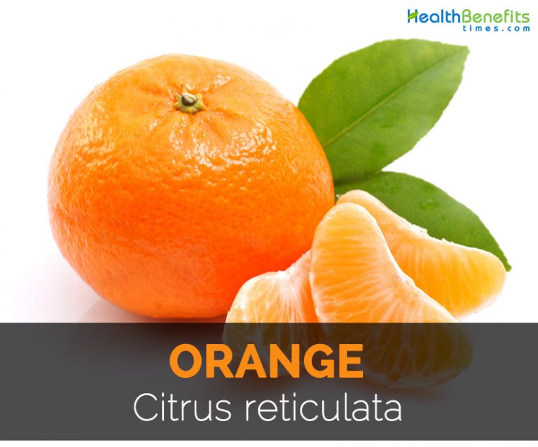 Health benefits of Oranges - Health Benefits