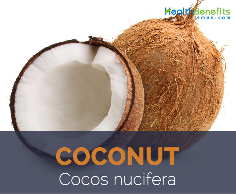 Coconut facts and health benefits - Health Benefits
