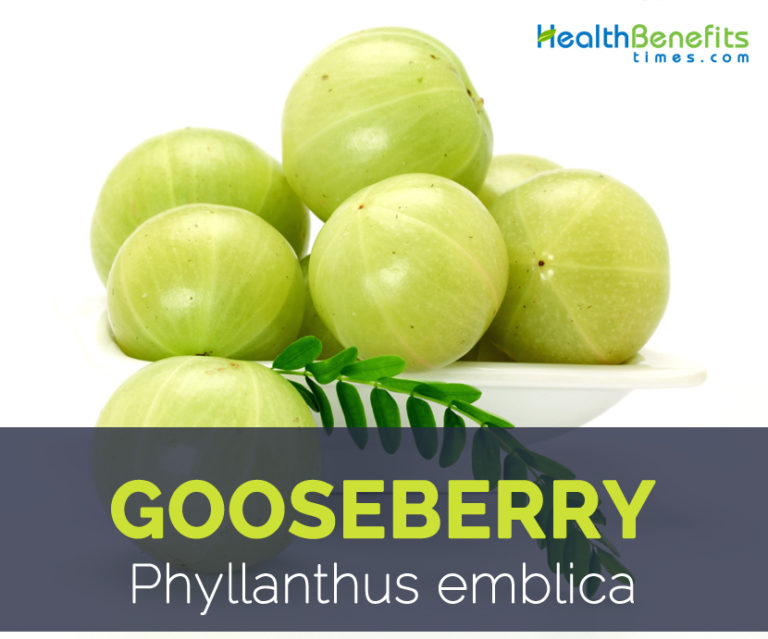 Gooseberry facts and health benefits - Health Benefits