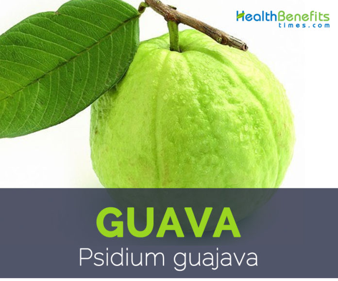 Guavas facts and health benefits - Health Benefits