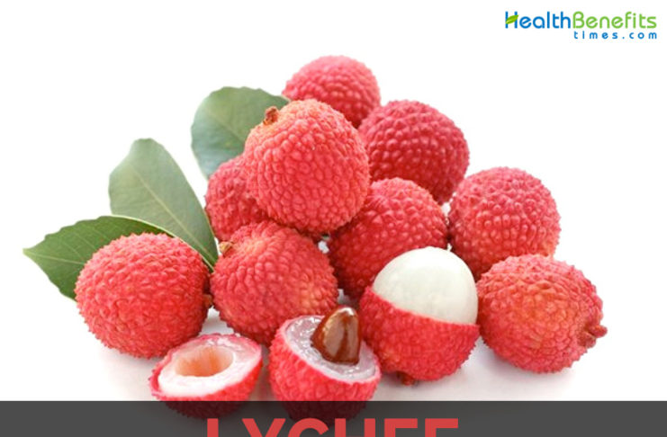 Lotus Facts, Health Benefits and Nutritional Value