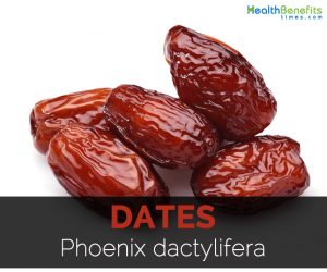 Health benefits of Dates - Health Benefits