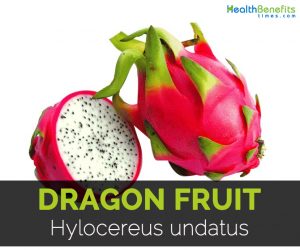Facts and benefits of Dragon Fruit - Health Benefits