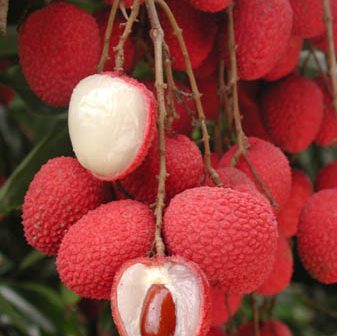 Lychee facts and health benefits - Health Benefits