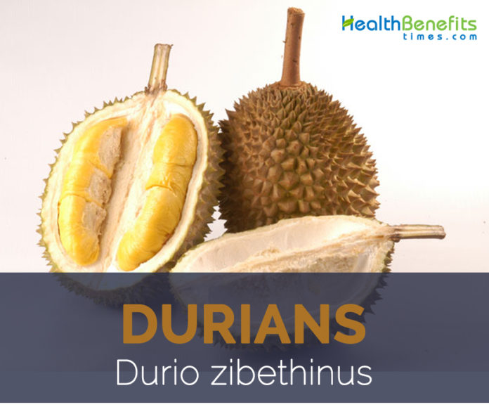 Durians facts and health benefits - Health Benefits