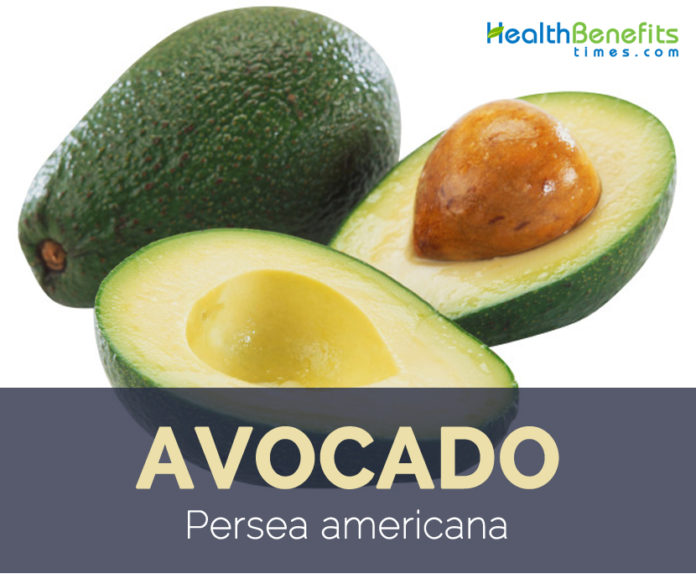 Avocado facts and health benefits - Health Benefits