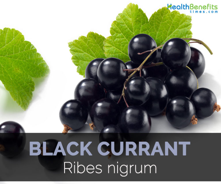 Health benefits of Black Currants - Health Benefits
