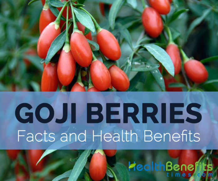 Goji berry facts and health benefits - Health Benefits