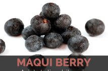 Roselle facts and health benefits