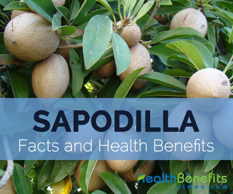 Sapodilla facts and health benefits - Health Benefits