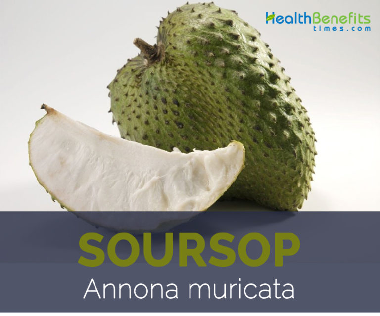 Soursop facts and health benefits - Health Benefits