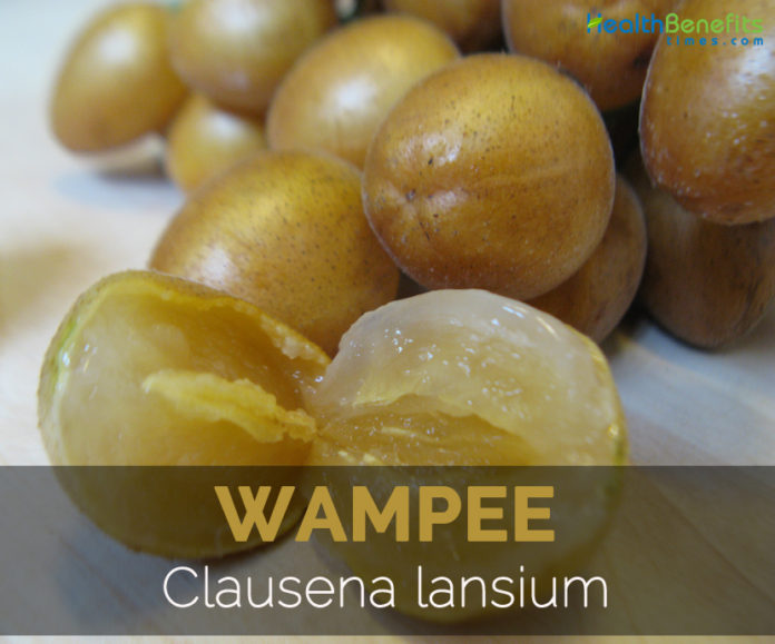 Wampee-Clausena lansium - Health Benefits