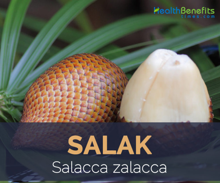 Salak fruit facts and health benefits - Health Benefits
