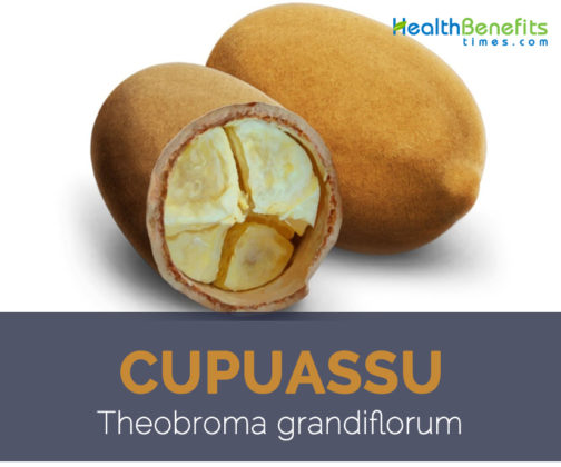 Health benefits of Cupuacu Fruit - Health Benefits
