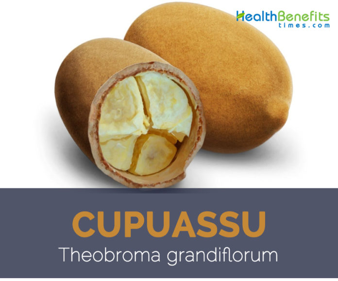 Health benefits of Cupuacu Fruit - Health Benefits