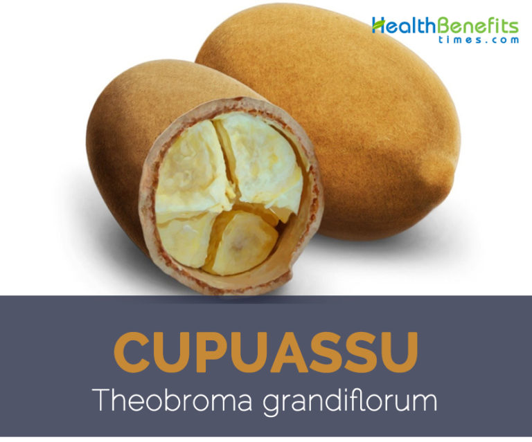 Health benefits of Cupuacu Fruit - Health Benefits