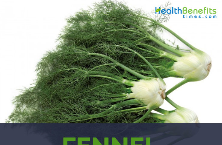 Health benefits of Fonio| HB times