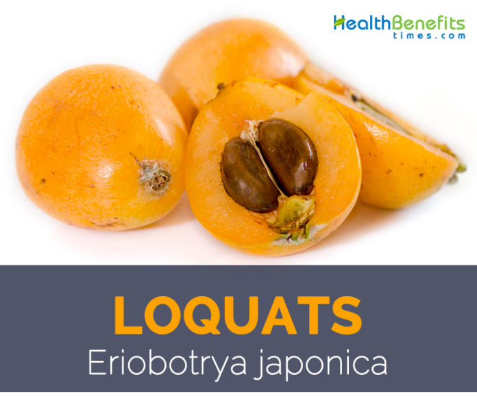Loquat facts and health benefits - Health Benefits