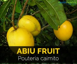 Health benefits of Abiu Fruit - Health Benefits