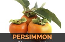 Miracle fruit facts and health benefits