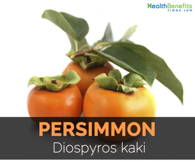 Health Benefits of Persimmons - Health Benefits