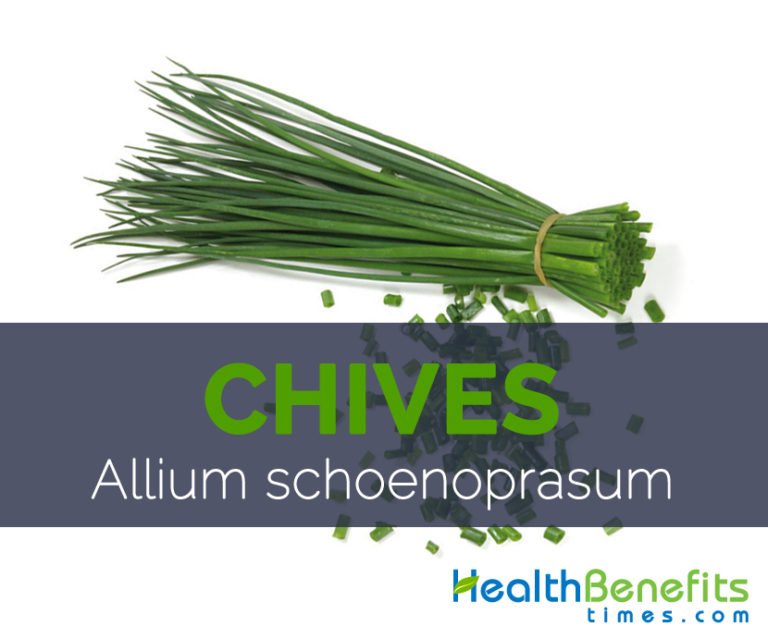Chives - Allium schoenoprasum - Health Benefits