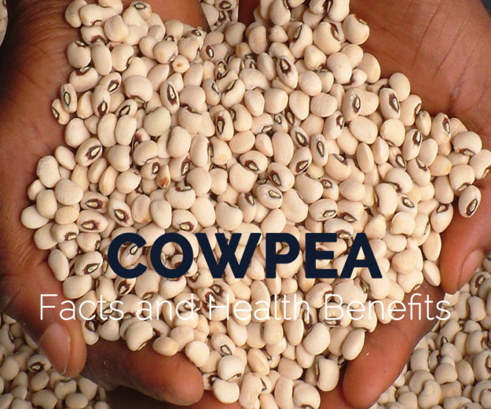 Cowpeas facts and health benefits - Health Benefits