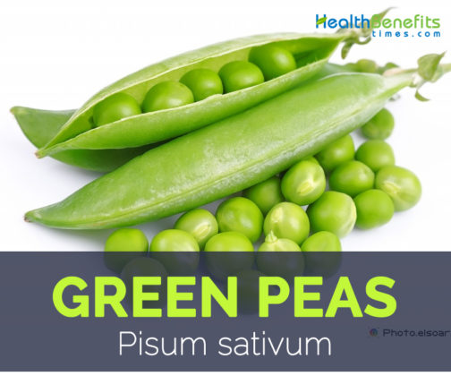 Green Peas facts and health benefits - Health Benefits