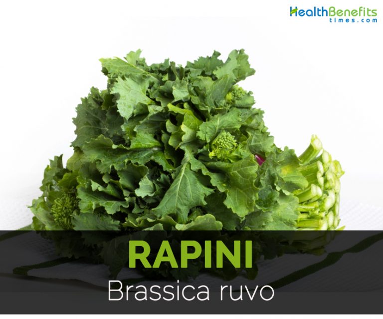Rapini Facts, Health Benefits and Nutritional Value | be settled
