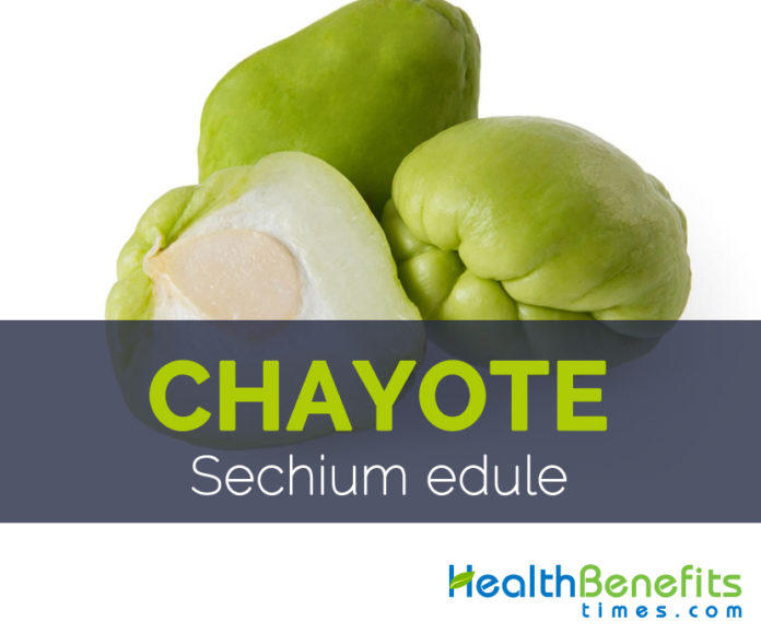 Chayote - Sechium edule - Health Benefits