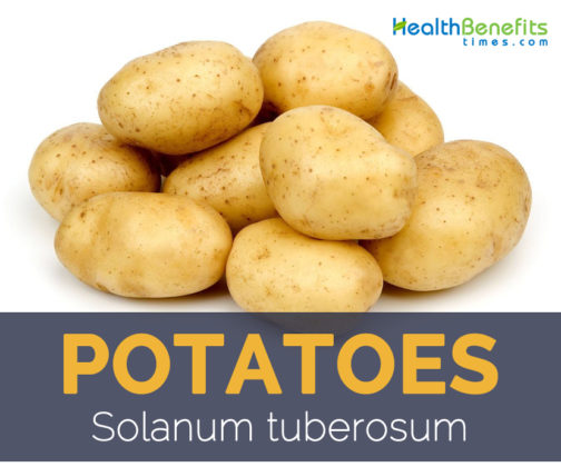 Potatoes facts and health benefits - Health Benefits
