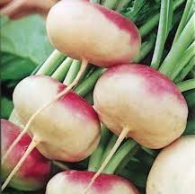 Turnip facts and health benefits - Health Benefits