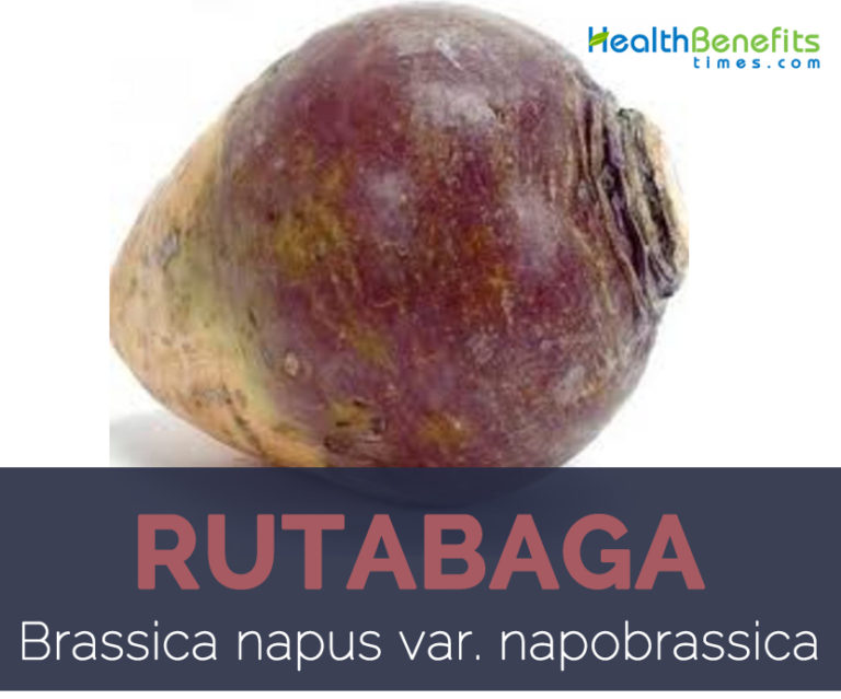 Rutabaga facts and health benefits - Health Benefits