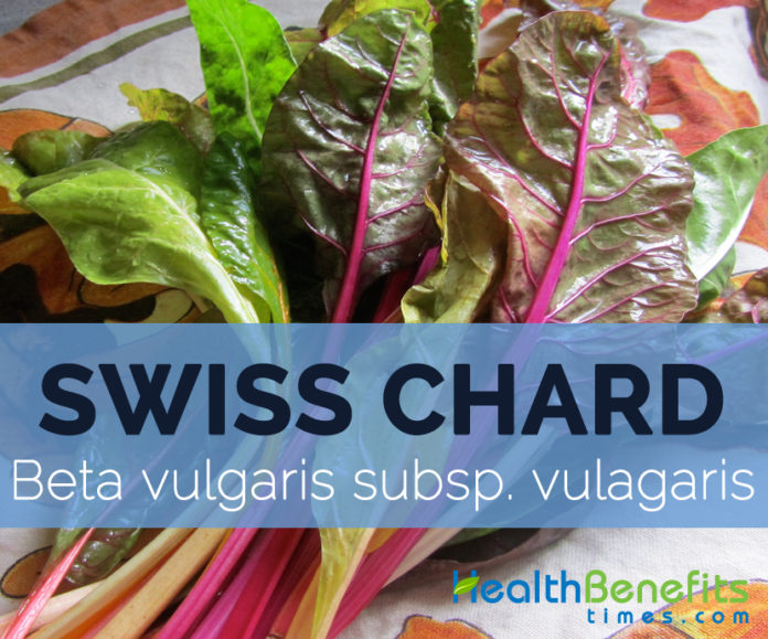 Swiss chard - Beta vulgaris subsp. vulagaris - Health Benefits