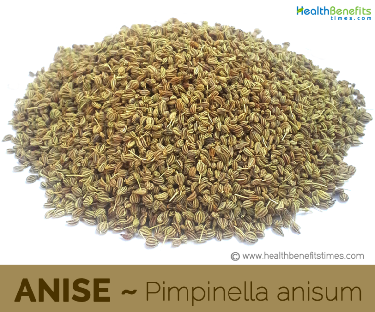 27 Principais benefícios do anis para a saúde | HB vezes | Aranjuez
