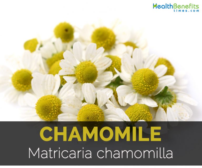 Health benefits of Chamomile - Health Benefits