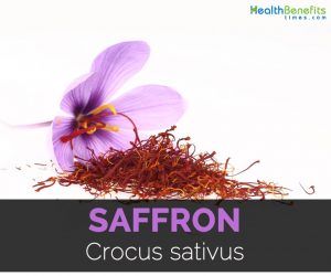 Health benefits of Saffron - Health Benefits